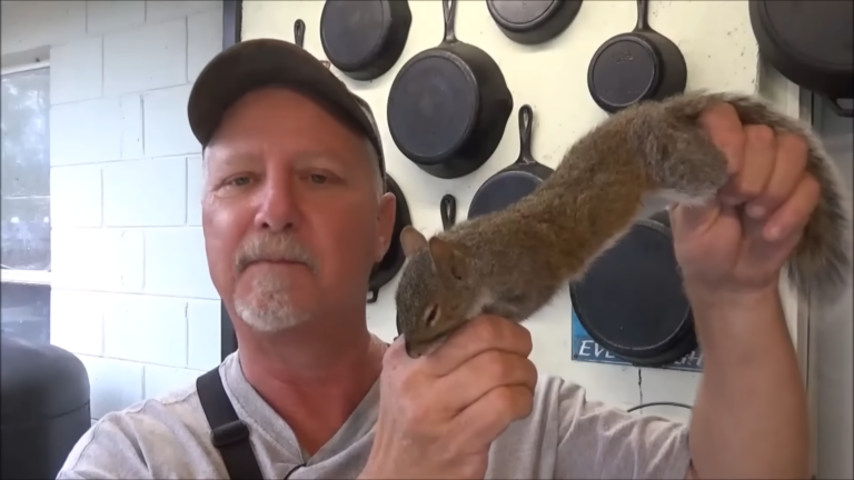 How to Prepare and Cook a Squirrel - Tips and Techniques - Appalachian Food