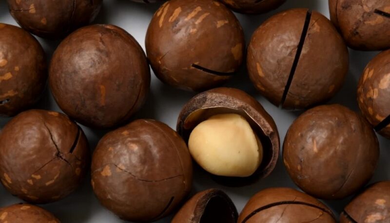Why You Should Always Store Macadamia Nuts in an Airtight Container Why You Should Always Store Macadamia Nuts in an Airtight Container